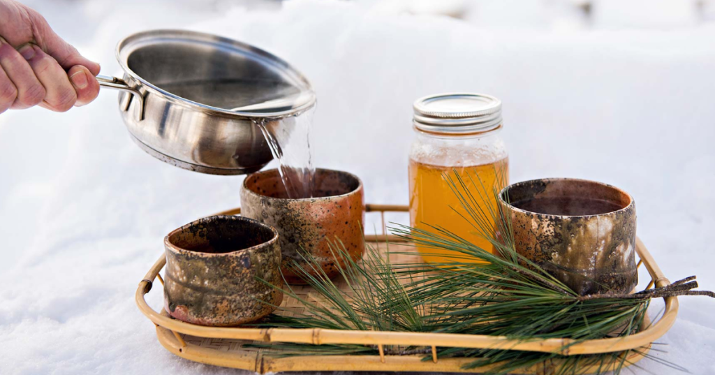 Çaji i halave të pishës rrit jetëgjatësinë. Ja si ta përgatisni! – www ...